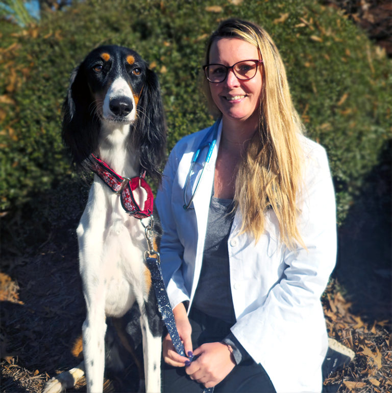 Kennesaw, Georgia - Total Veterinary Care